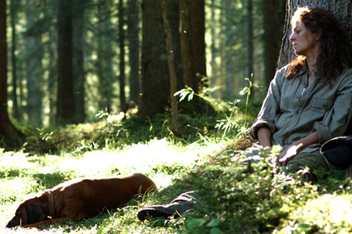 Die Wand - VPRO Cinema - VPRO Gids