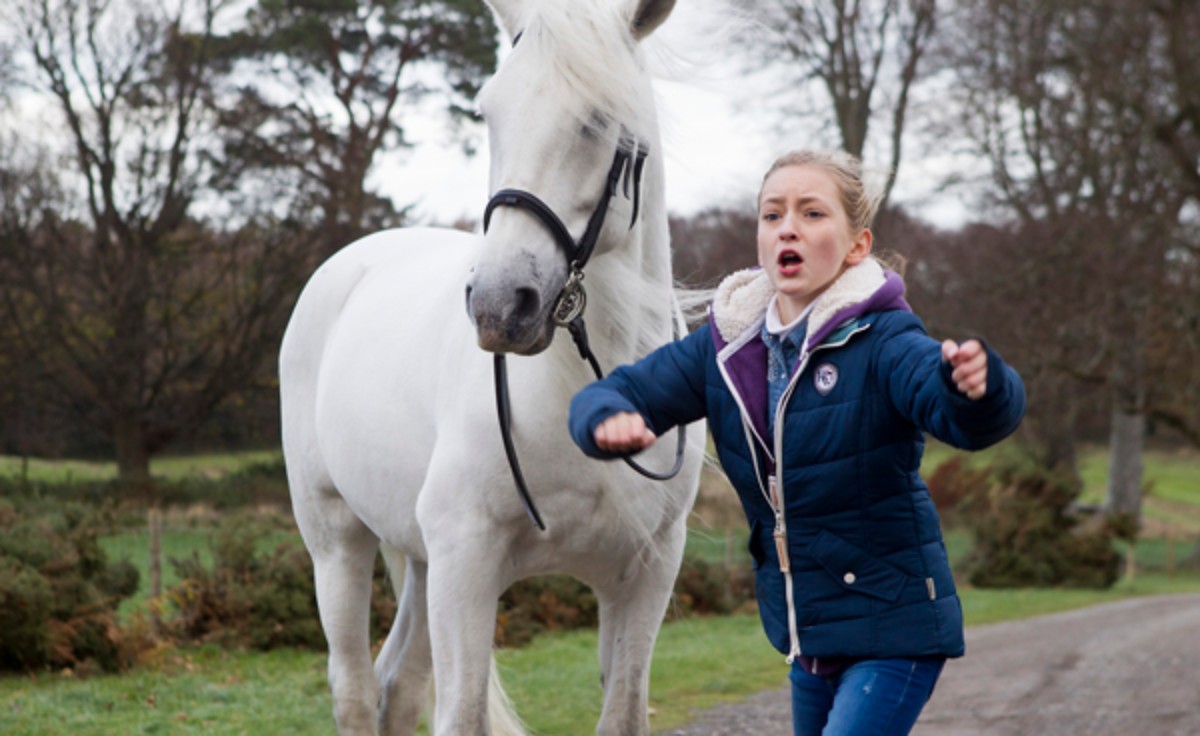 Recensie: The Legend of Longwood - VPRO Cinema - VPRO Gids