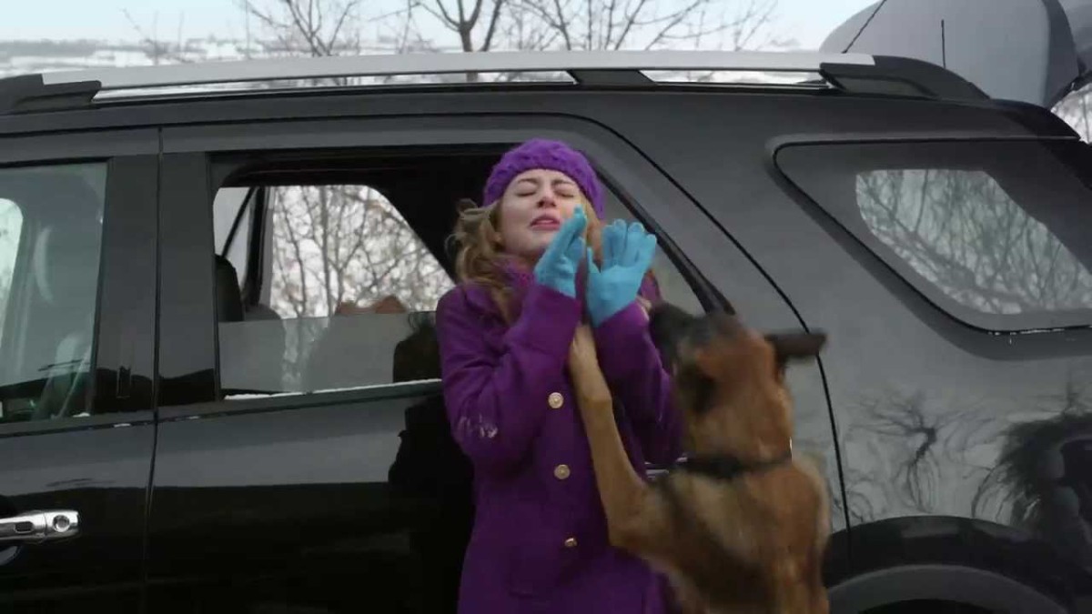 Step Dogs - VPRO Cinema - VPRO Gids