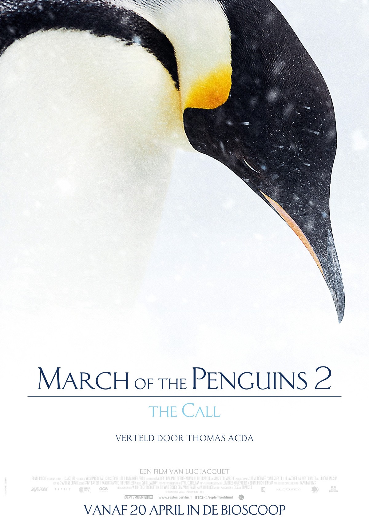 March of the Penguins 2 - VPRO Cinema - VPRO Gids