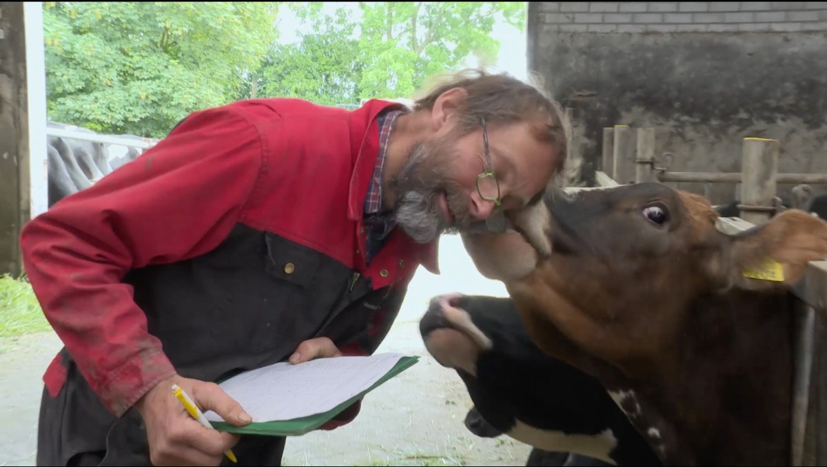 Veearts Maaike - VPRO Cinema - VPRO Gids