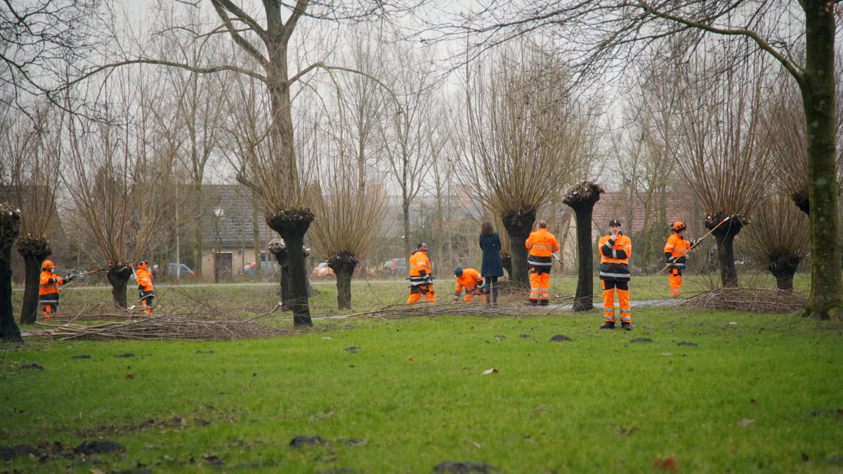 Fraaie en ontroerende Teledoc ‘Code groen’ - VPRO Documentairegids - VPRO Gids