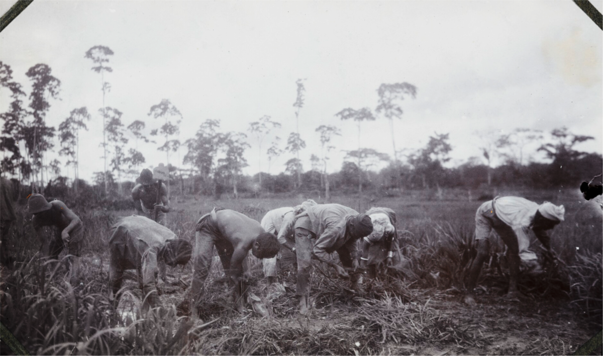 Vals paradijs: unieke archiefbeelden in docu over Indiase ...