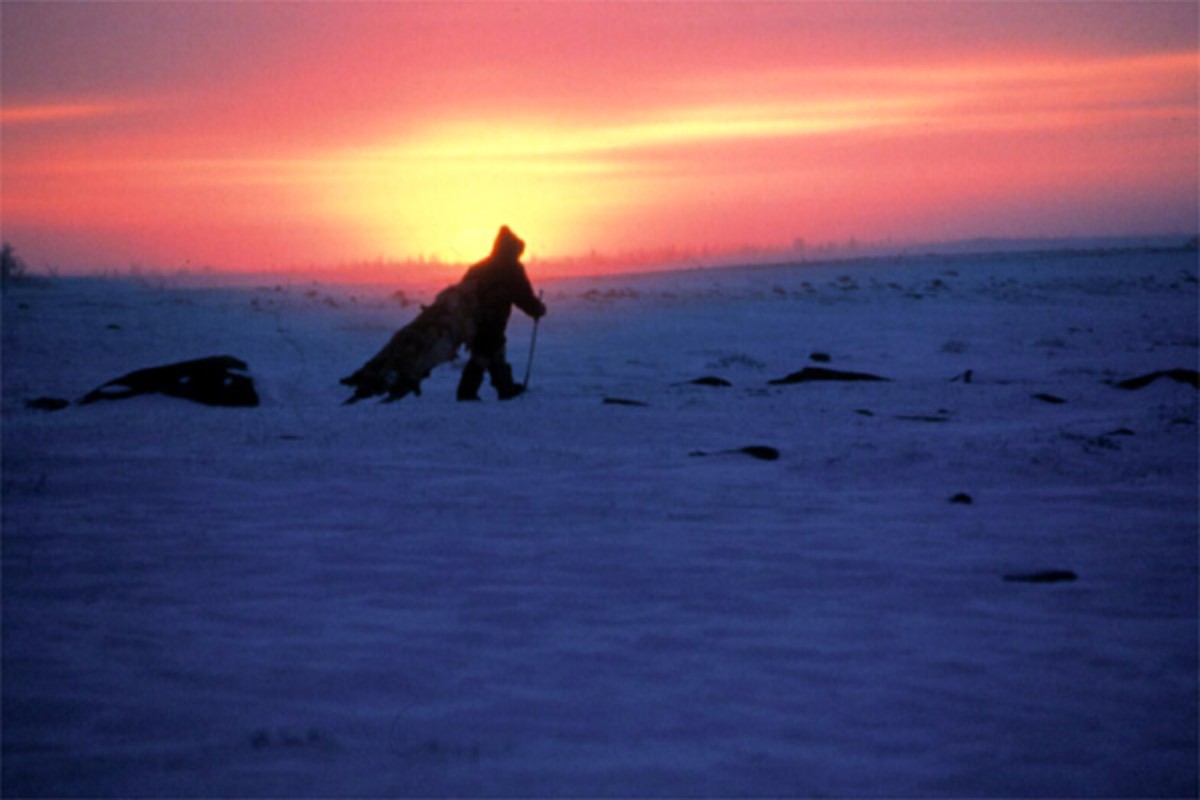 The Snow Walker - VPRO Cinema - VPRO Gids