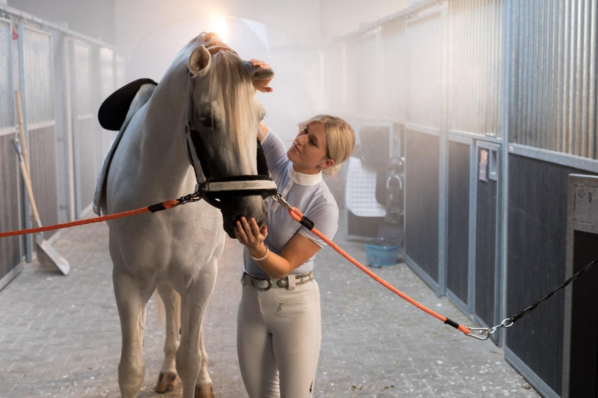 Whitestar - VPRO Cinema - VPRO Gids